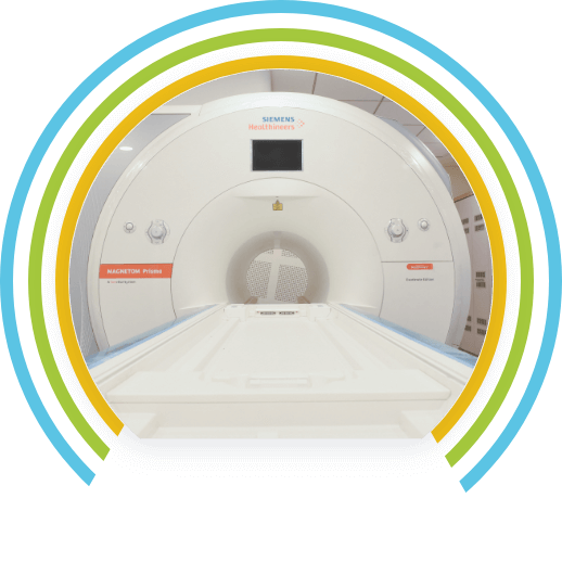 TecH MRC - Faculty of Biomedical Engineering, Technion